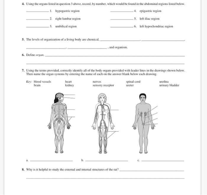 Solved 4. Using the organs listed in question 3 above, | Chegg.com