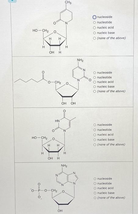 Solved nucleoside nucleotide nucleic acid nucleic base (none | Chegg.com