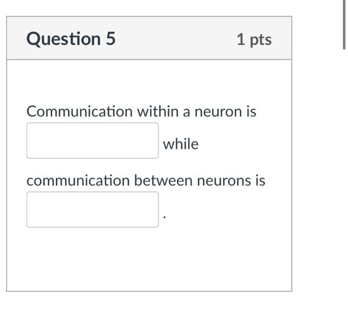 Solved Match the types of neurons with their correct | Chegg.com