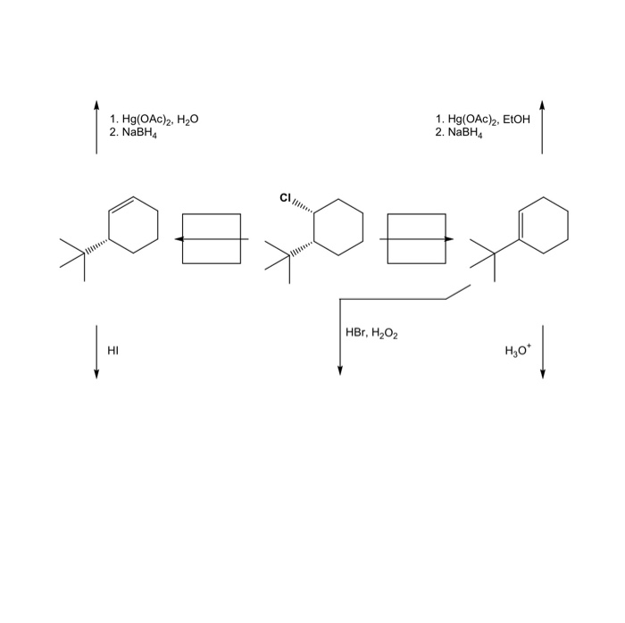 Solved 1. Hg(OAC)2, H2O 2. NaBH4 1. Hg(OAC)2, EtOH 2. NaBH4 | Chegg.com