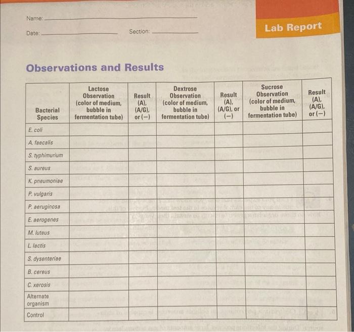 Observations and Results | Chegg.com