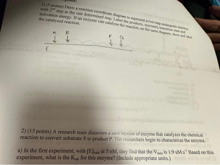 Solved 1) (5 points) Draw a reaction coordinate diagram to | Chegg.com Solved 1) (5 points) Draw a reaction coordinate diagram to | Chegg.com