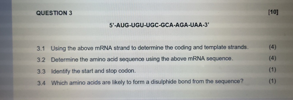 Solved QUESTION 3[10]5'-AUG-UGU-UGC-GCA-AGA-UAA-3'3.1 ﻿Using | Chegg.com