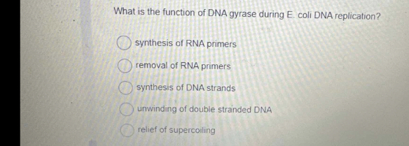 Solved What Is The Function Of Dna Gyrase During E ﻿coli