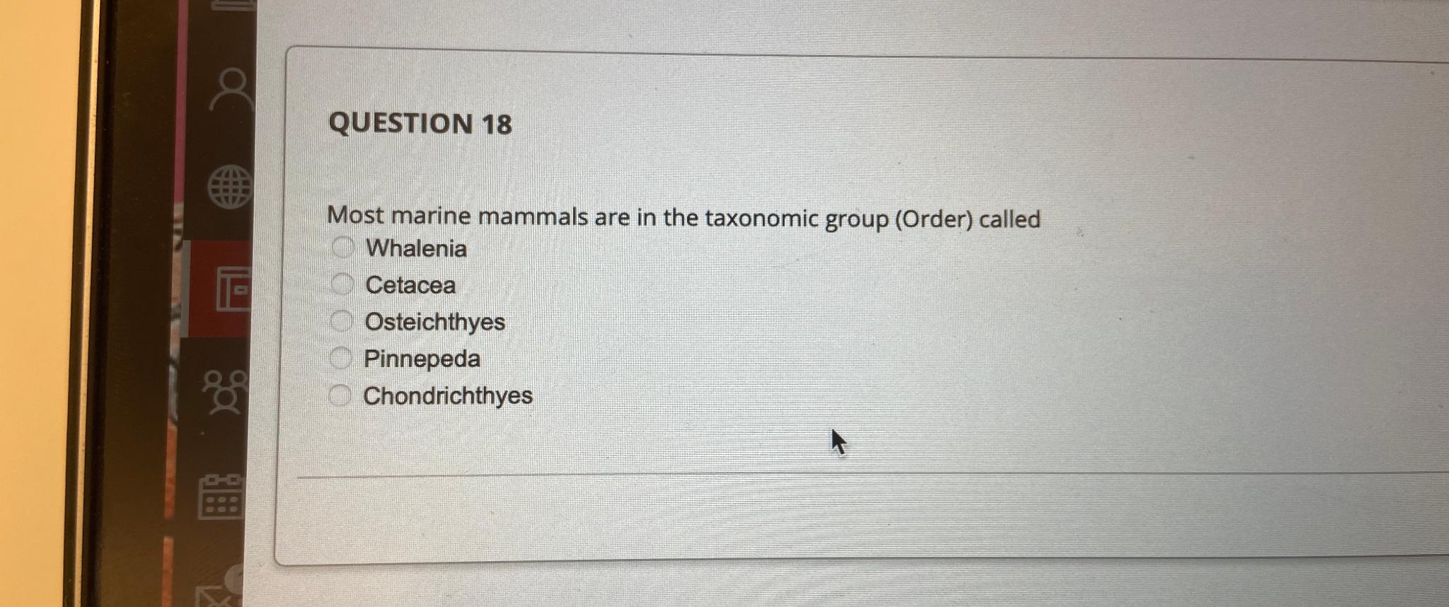Solved QUESTION 18Most marine mammals are in the taxonomic | Chegg.com