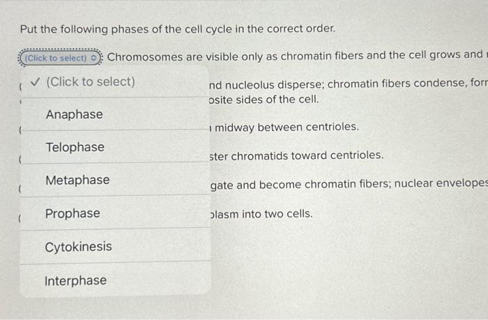 [Solved]: Put the following phases of the cell cycle in the