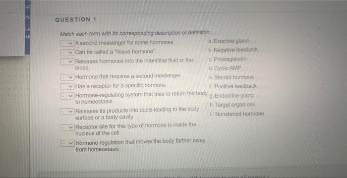 Solved Match each term with its corresponding description or | Chegg.com