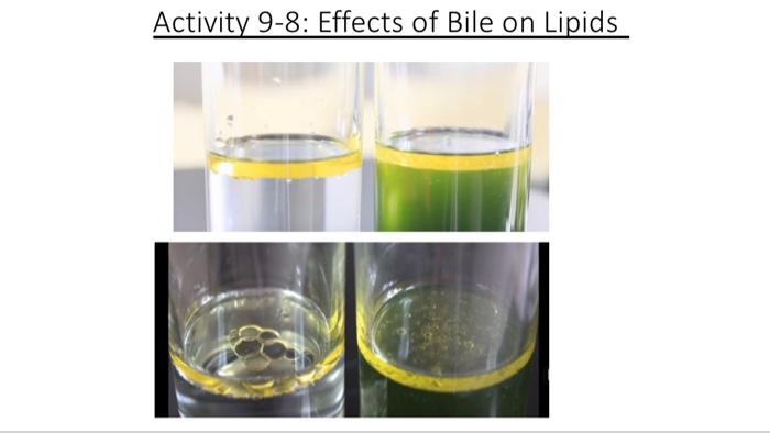 Solved 1)Just answer the question below please 2) fill in | Chegg.com