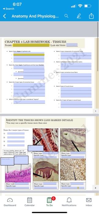 6:07 Anatomy And Physiolog... Q CHAPTER 4 LAB | Chegg.com
