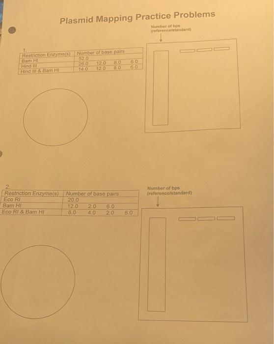 Solved Plasmid Mapping Practice Problems Number of bps | Chegg.com