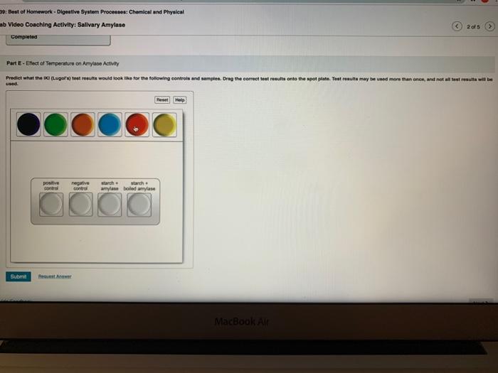 Solved Predict what the IKI (Lugol's) test results would | Chegg.com