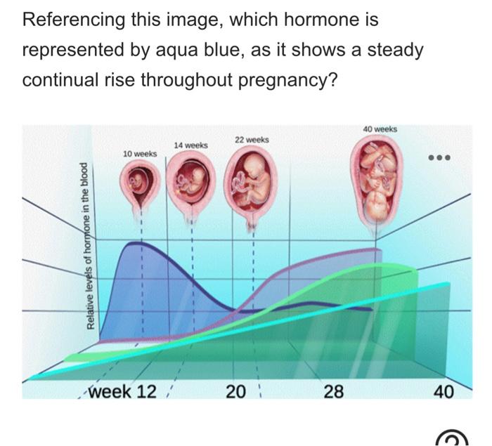 Fraternal twins usually share one placenta. True | Chegg.com