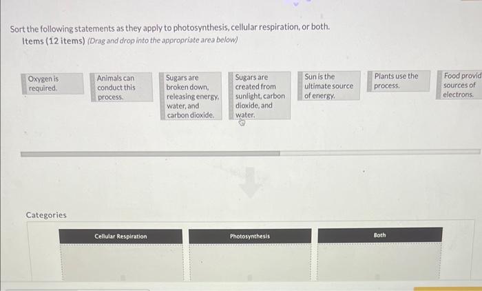 Solved Sort the following statements as they apply to | Chegg.com