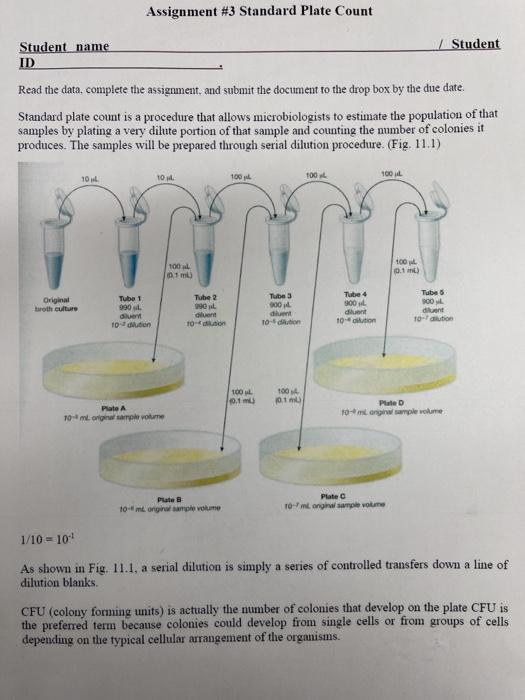 Solved Assignment #3 Standard Plate Count Student name | Chegg.com