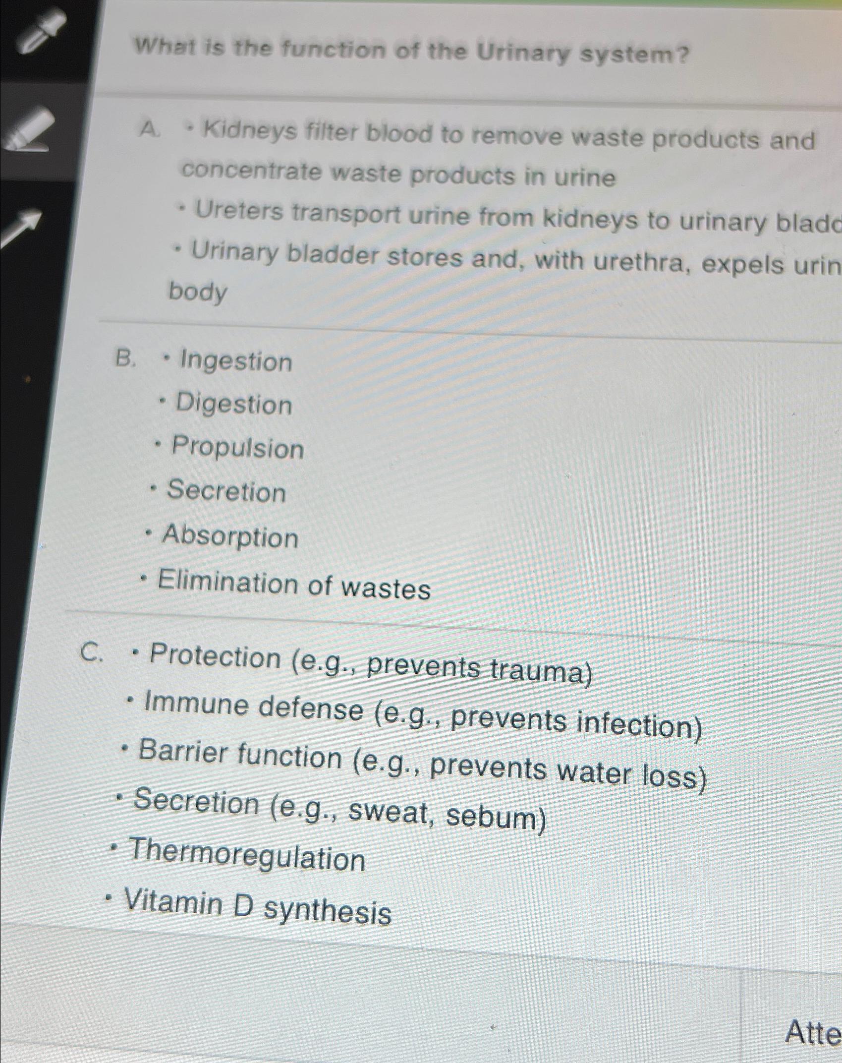 Solved What is the function of the Urinary system?A. | Chegg.com
