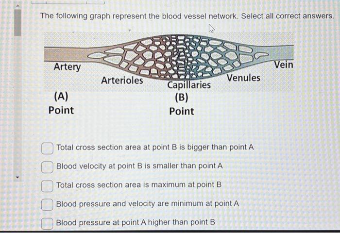 Solved The following graph represent the blood vessel | Chegg.com