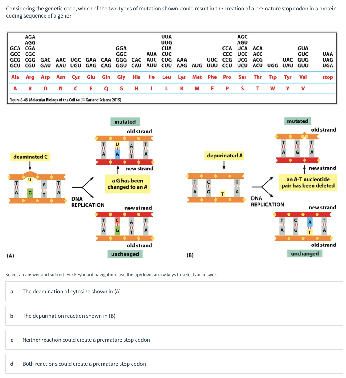 Solved Considering the genetic code, which of the two types | Chegg.com