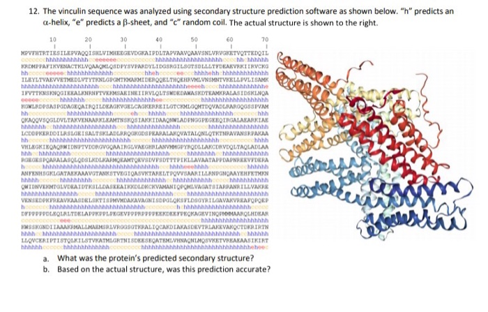 Solved 12. The vinculin sequence was analyzed using | Chegg.com