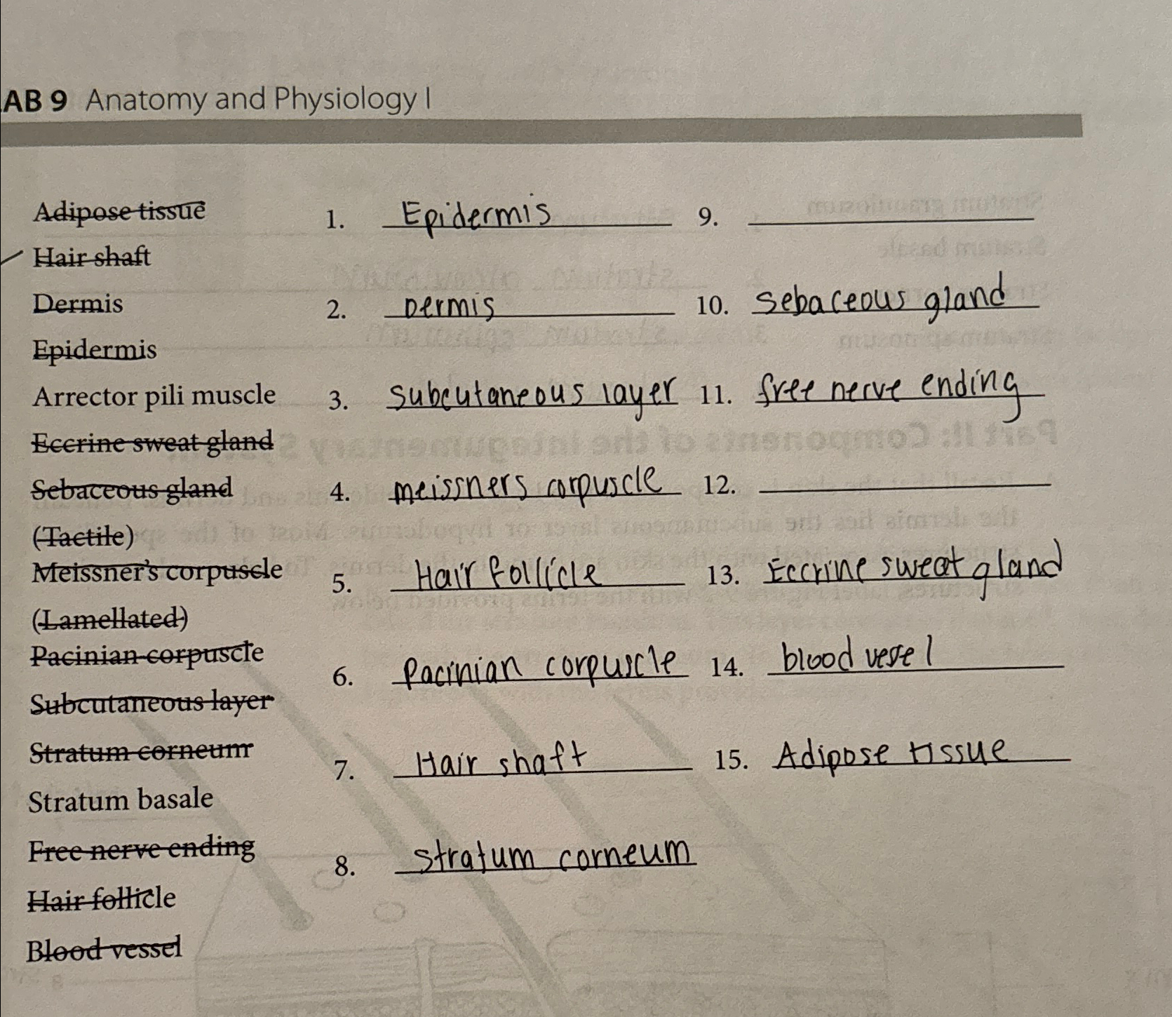 Solved AB 9 ﻿Anatomy and Physiology IAdipose | Chegg.com