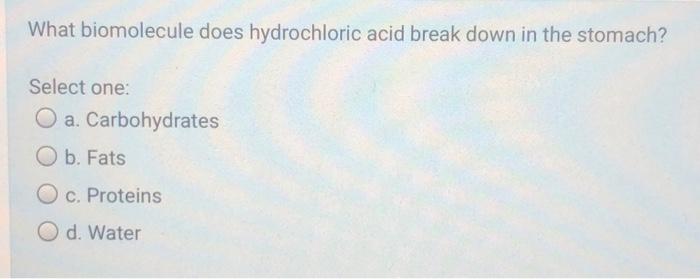 Solved The anterior chisel-shaped teeth that are adapted for | Chegg.com