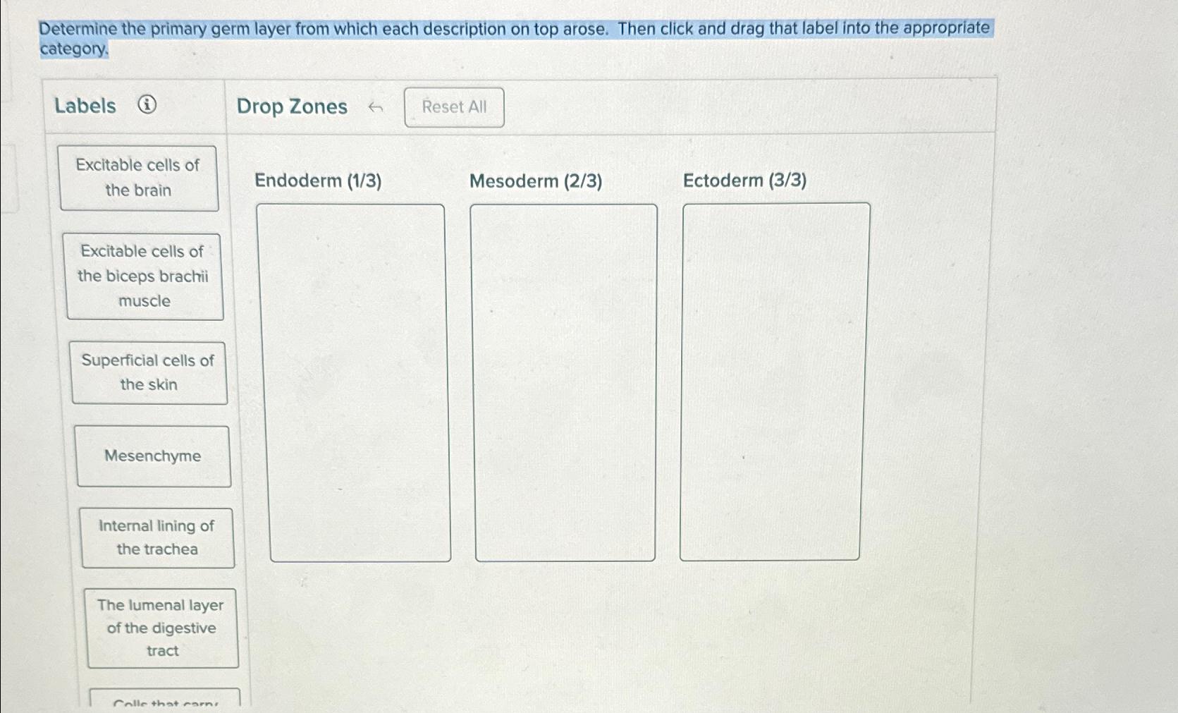 Solved Determine the primary germ layer from which each | Chegg.com