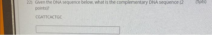 Solved 22) Given the DNA sequence below. What is the | Chegg.com