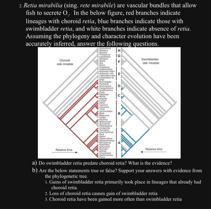 Solved 2. Retia mirabilia (sing. rete mirabile) are vascular | Chegg.com