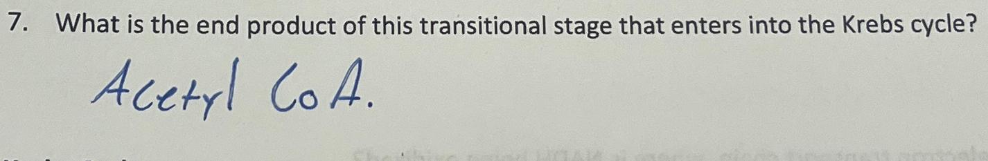 Solved What is the end product of this transitional stage | Chegg.com
