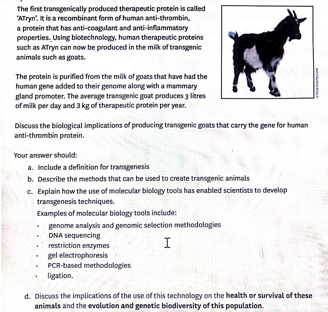 Solved The first transgenically produced therapeutic protein | Chegg.com