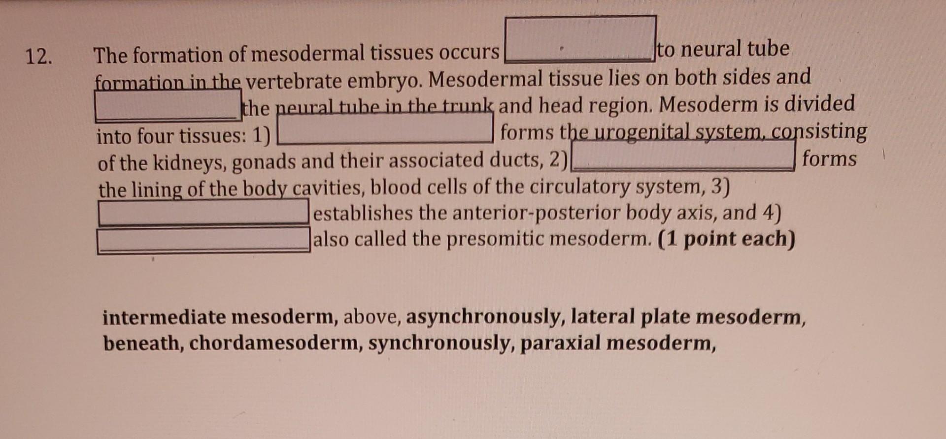 Solved 12. The formation of mesodermal tissues occurs to | Chegg.com