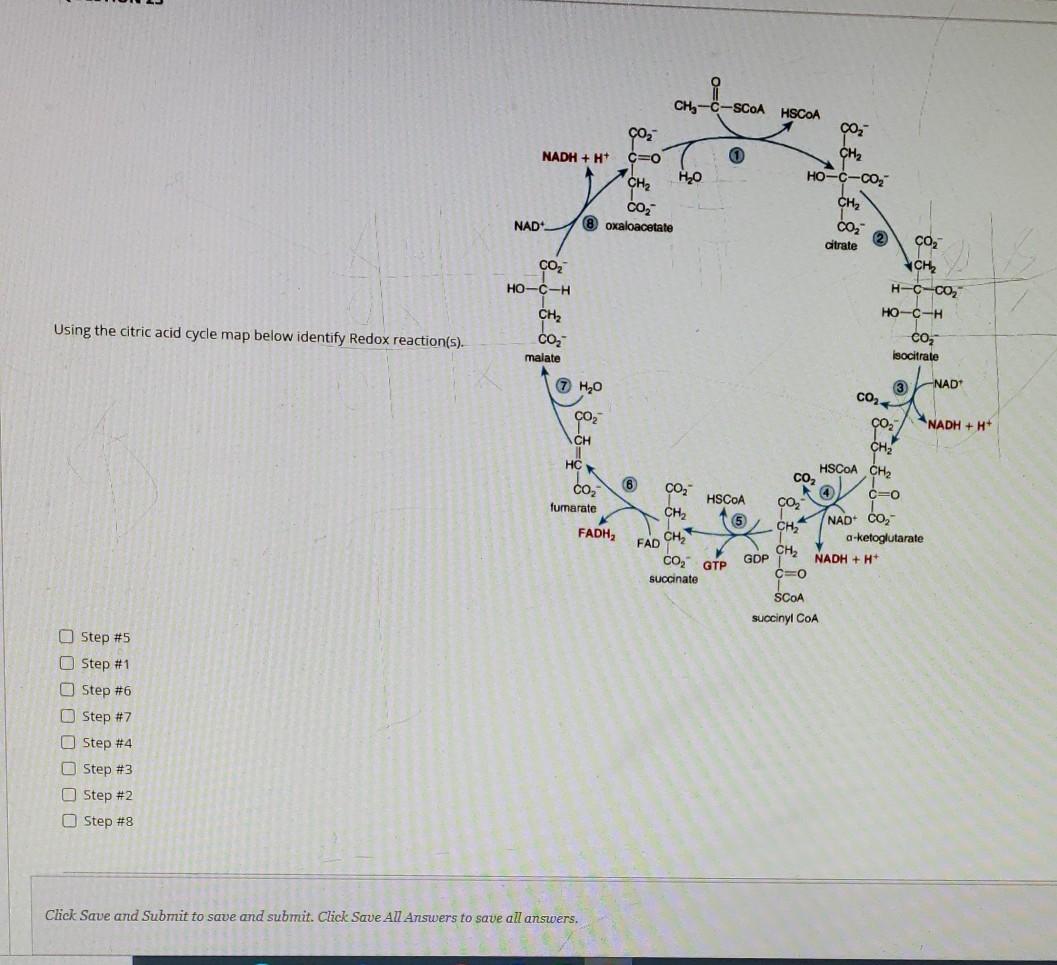 Solved CHE-C-SCOA HSCOA Co, con CH NADH + H+ C=0 H2O | Chegg.com
