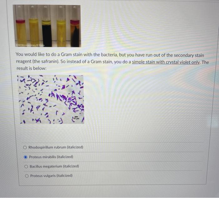 Solved You perform several tests on an unidentified | Chegg.com