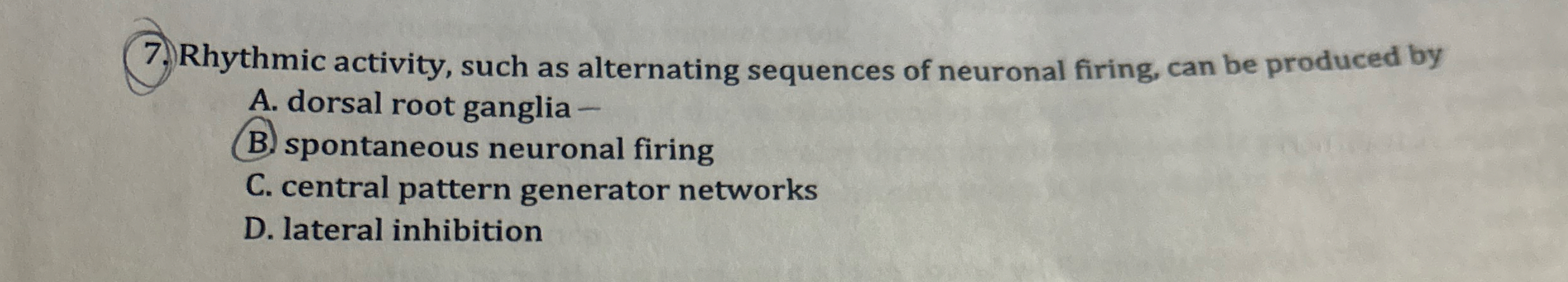 Solved Rhythmic activity, such as alternating sequences of | Chegg.com