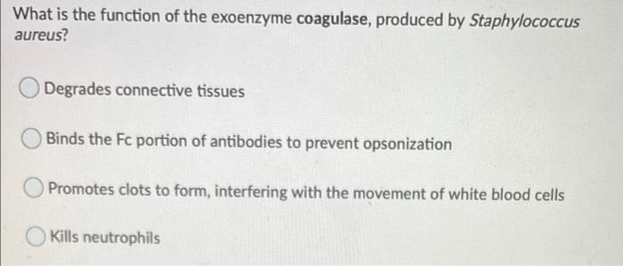 Solved What is the function of the exoenzyme coagulase, | Chegg.com