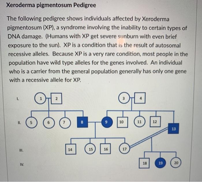 Solved Xeroderma pigmentosum Pedigree The following pedigree | Chegg.com