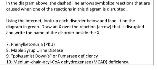 Solved In the diagram above, the dashed line arrows | Chegg.com