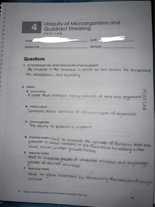 Solved 4 Ubiquity of Microorganisms and Quadrant Streaking | Chegg.com