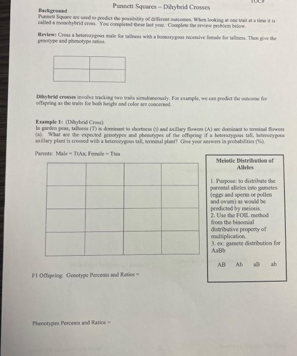 Solved Background Punnett Squares - Dihybrid Crosses Punnetf | Chegg.com