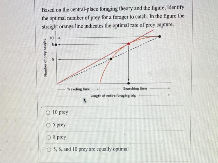 Solved Based on the central-place foraging theory and the | Chegg.com