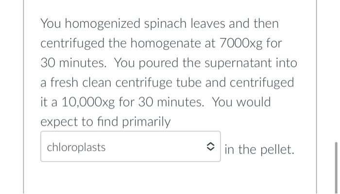 Solved You homogenized spinach leaves and then centrifuged | Chegg.com