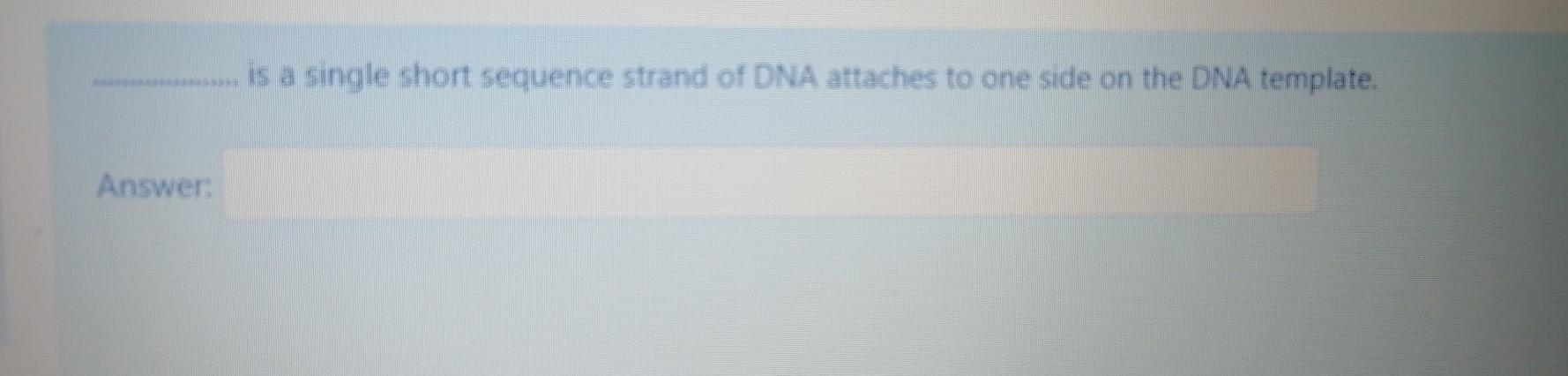 Solved is a single short sequence strand of DNA attaches to | Chegg.com