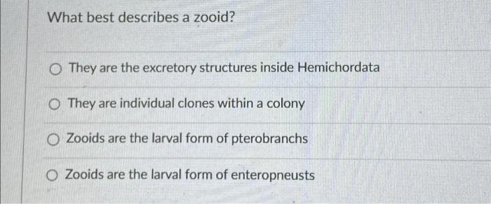 Solved What best describes a zooid? They are the excretory | Chegg.com