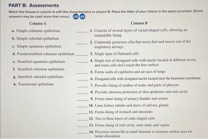 Solved Match the tissues in column A with the | Chegg.com