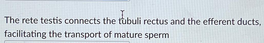 Solved True or FalseThe rete testis connects the tubuli | Chegg.com