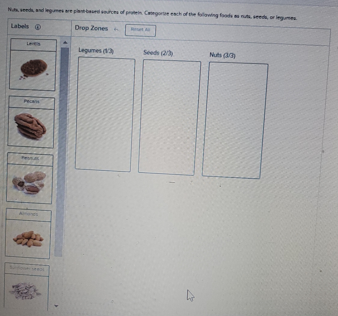 Solved Nuts, seeds, and legumes are plantbased sources of | Chegg.com