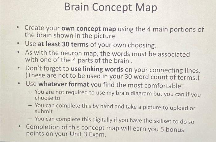 Solved Brain Concept Map - Create your own concept map using | Chegg.com