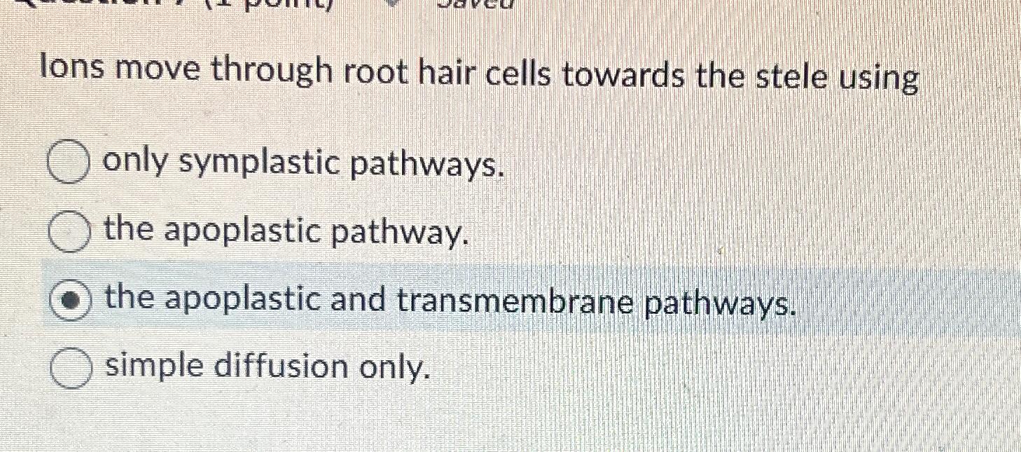 Solved Ions move through root hair cells towards the stele | Chegg.com