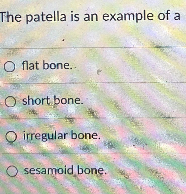 Solved The patella is an example of aflat bone.short | Chegg.com