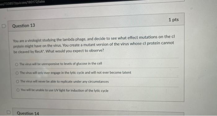 Solved You are a virologist studying the lambda phage, and | Chegg.com