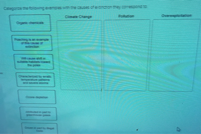 Solved Categorize the following examples with the causes of | Chegg.com